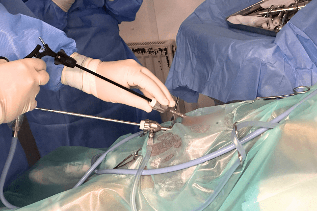 Keyhole Cholecystectomy - Warren House Veterinary Centre Keyhole Cholecystectomy - Warren House Veterinary Centre
